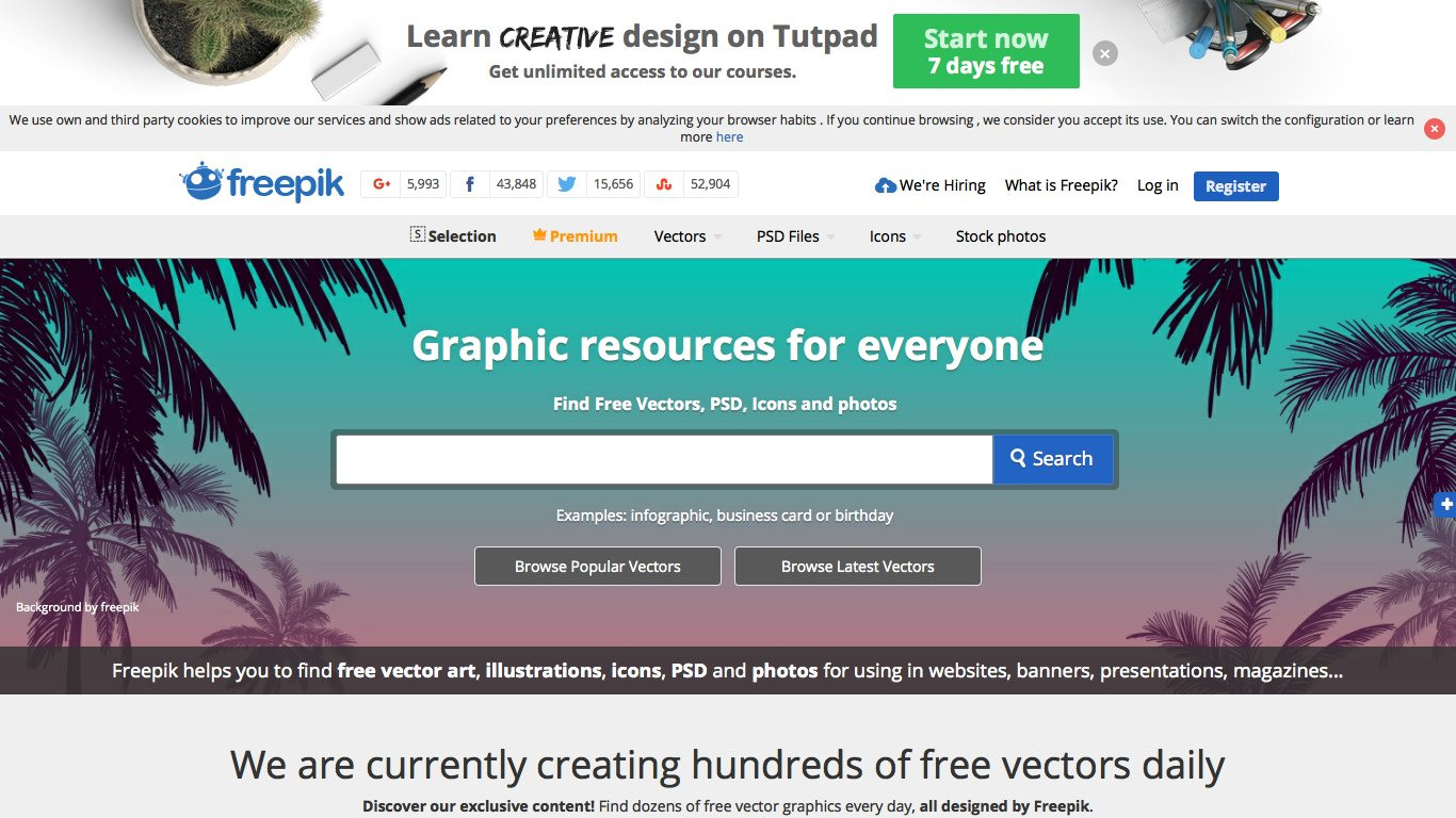 40+ Best Web Development Tools For Savvy Ecommerce Devs